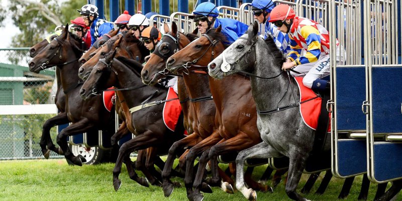 Memsie Stakes 2025: Melbourne Spring Carnival | LiderForm